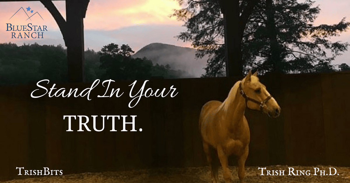 TrishBits #33: Say What You Think You Can’t Say - Trish Ring