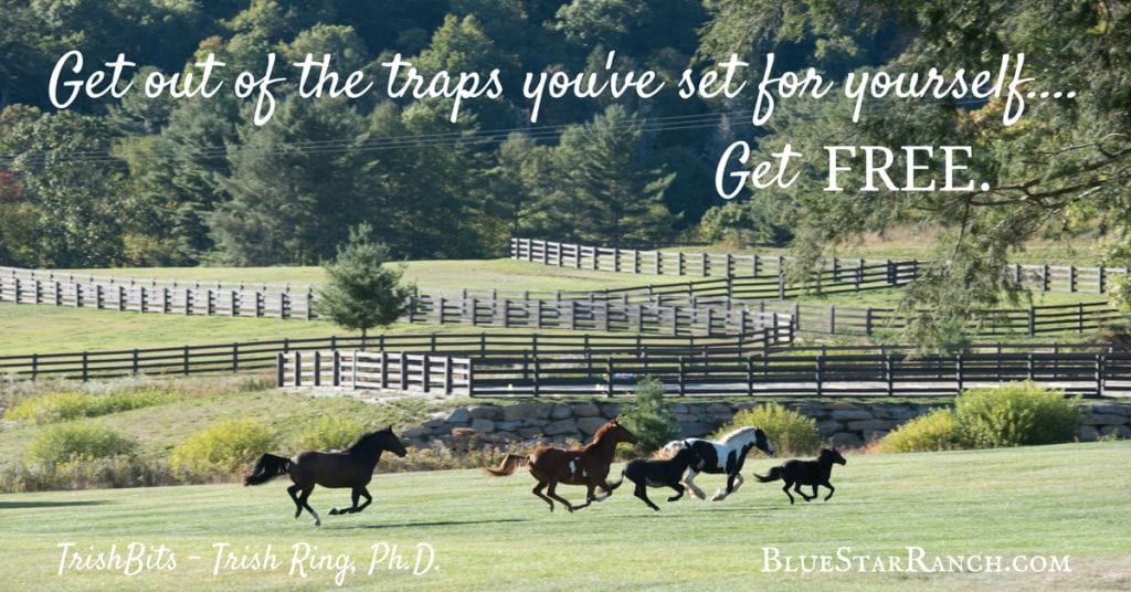 TrishBits #34: 3 Traps That Keep You Stuck - Trish Ring