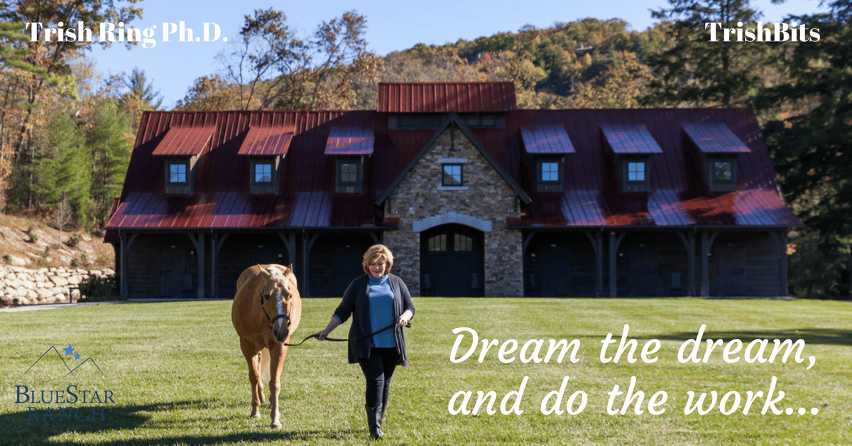 TrishBits #38: Day-by-Day, Step-by-Step - Trish Ring